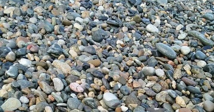 Dekoraai Batu Alam Batu Bronjol Batu Sikat