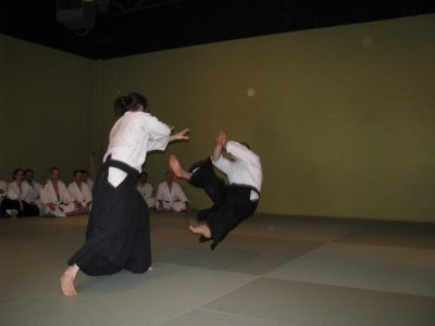 Shudokan Martial Arts Association: Discover the World of Authentic ...