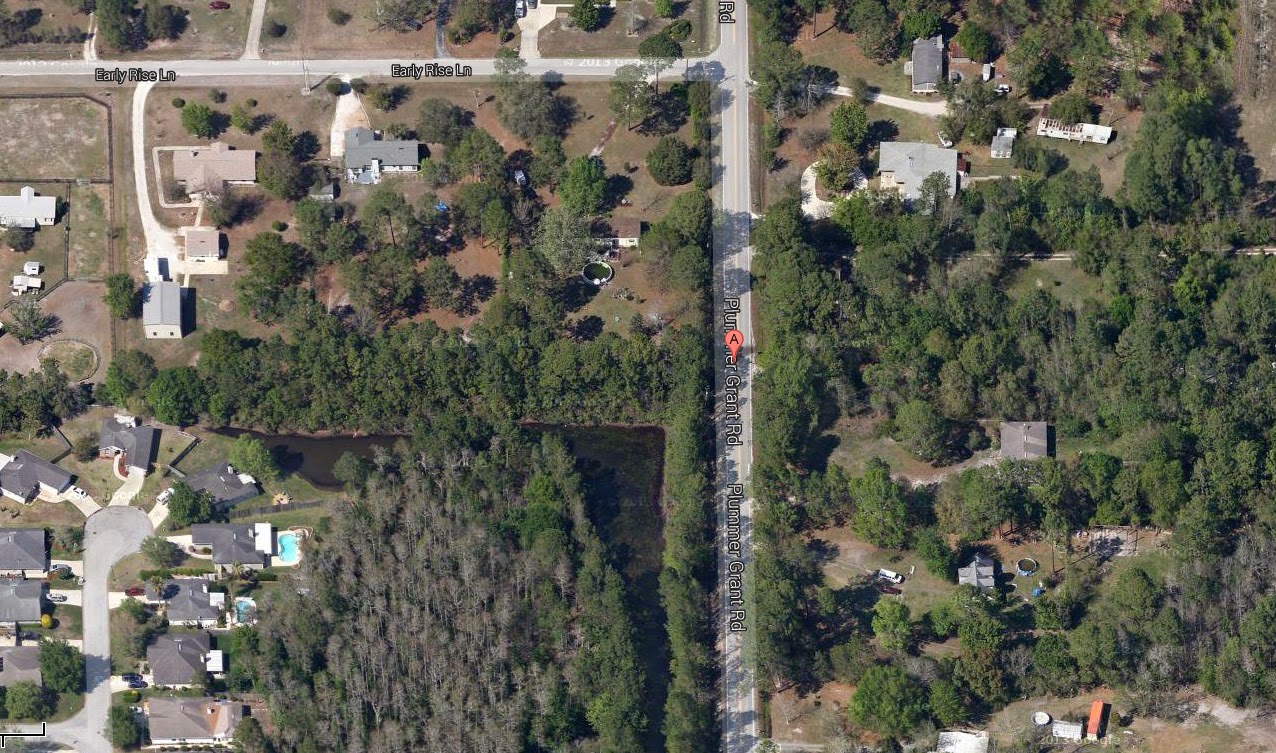 The Bell Curve of Life: Not Pronounced Lie-Nerd Sky-Nerd