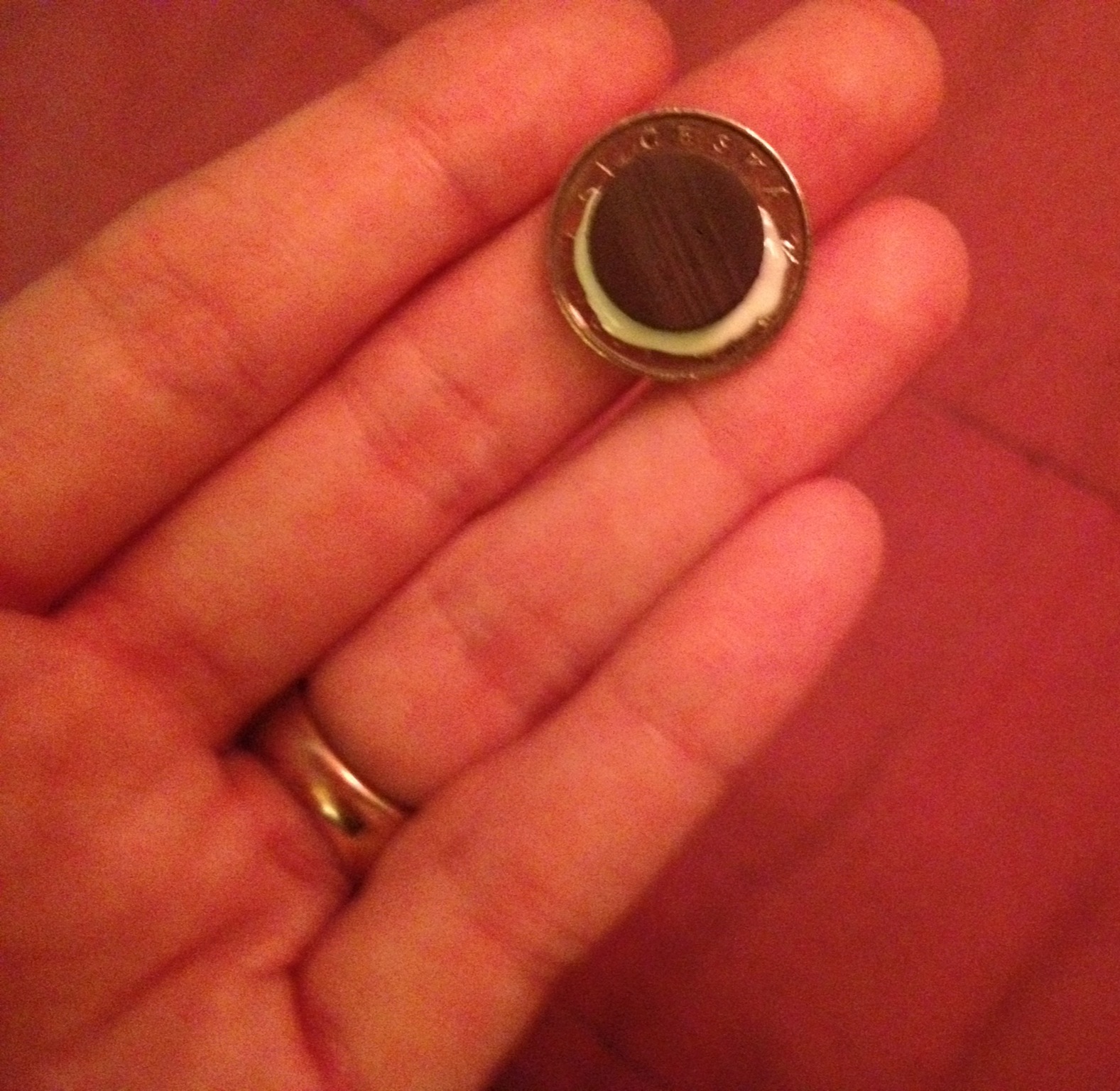 Make It Work Sam: Coin Magnets