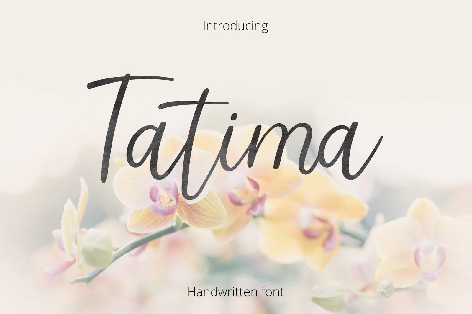 Tatima free font
