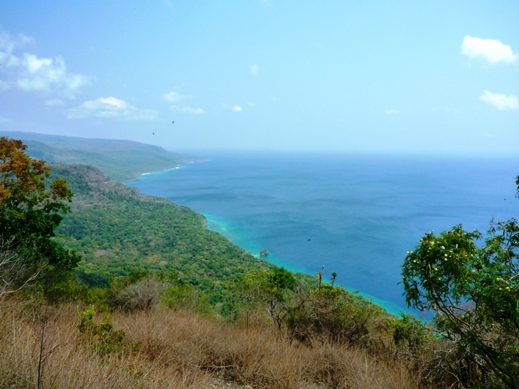 SUBSTITUTO LEGAL: Timor-Leste - Baucau, Estradas, Fauna, Tutuala e Com