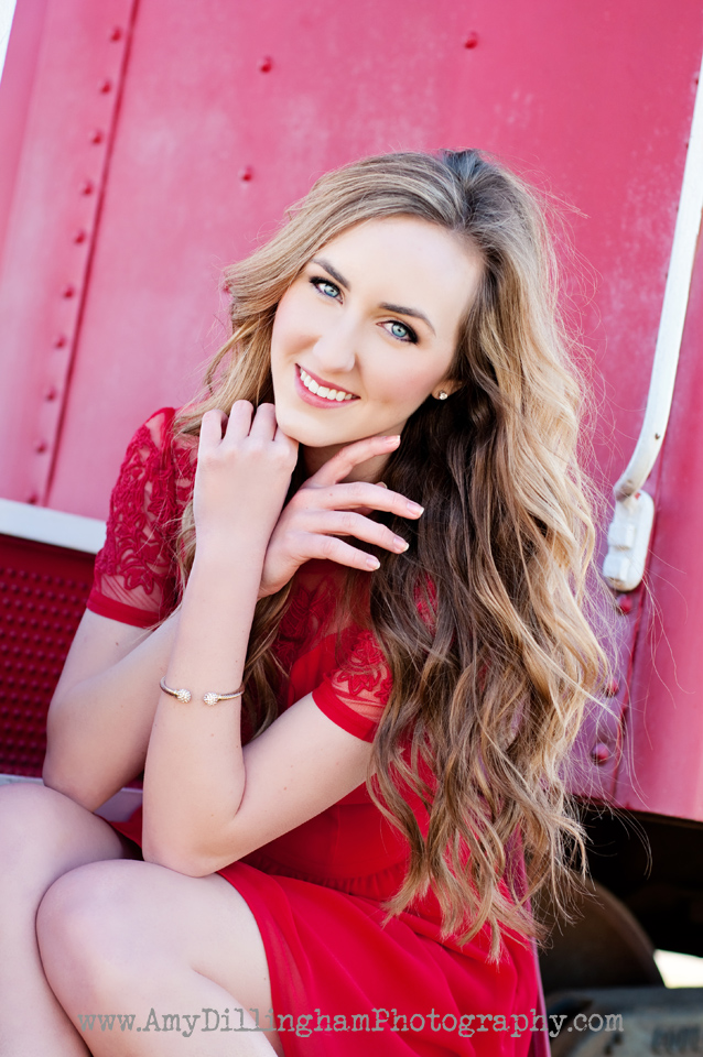 {Amy Dillingham Photography} |the blog|: { Ashlee H. } | portraits ...