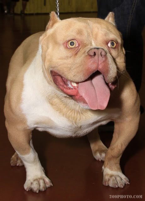 Fugly Dog of the Day: Proud of their "Freakshow"