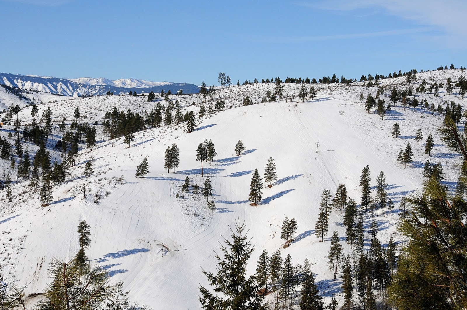 Echo Ridge Trails....The Shoe