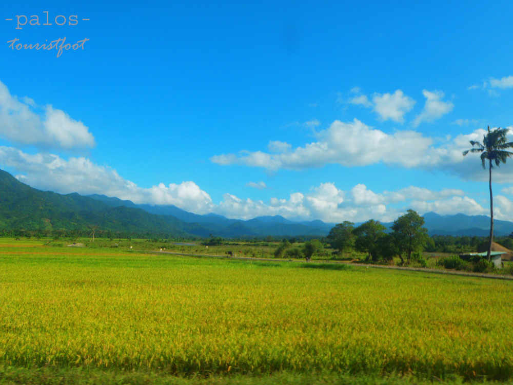 Biyaheng Palos: Northern Experience