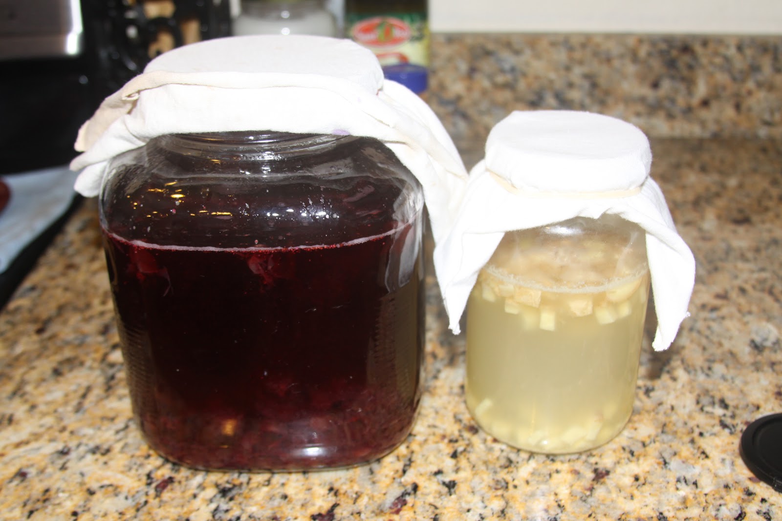 The Homemade Housewife: Homemade, Naturally Fermented Soda