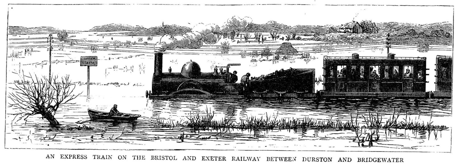 Turnip Rail's Waiting Room: February 2012