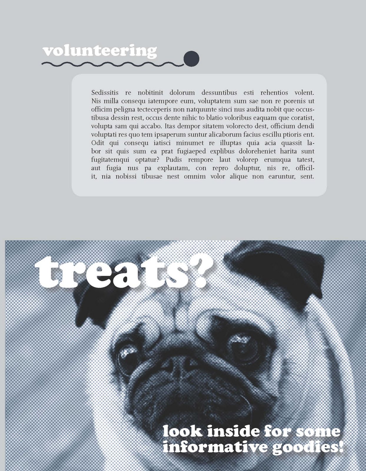 Stacey Campbell: Watauga Humane Society: Brochure Roughs and More Logo ...