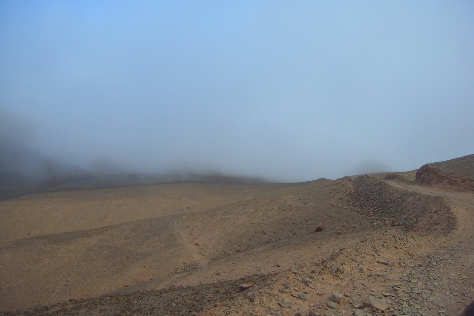 Eco-antropología: El oasis de niebla de Alto Patache: esplendor ...