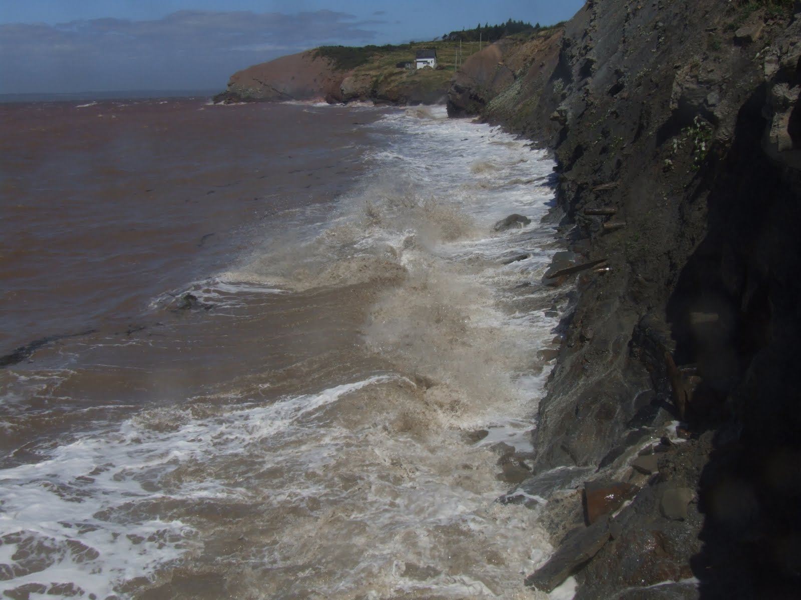 Joggins Fossil Cliffs: Irene's Wake at the Joggins Fossil Cliffs
