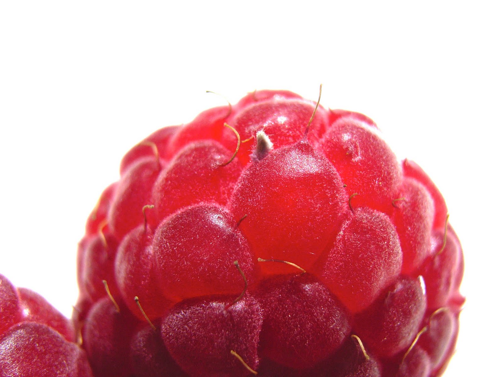 Bilder-Bibliothek: Himbeeren - Nahaufnahmen, Großaufnahmen