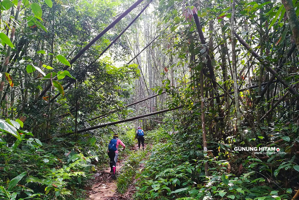 Gunung Hitam 包你爬到脸黑黑的水蛭山 - 乐飞翎 ♥ LUVFEELIN