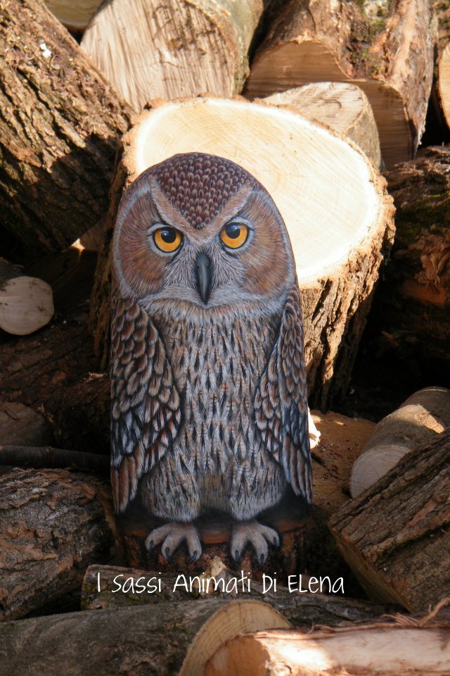 Elena Sanson Arte su Sasso: "Gufa" Penelope