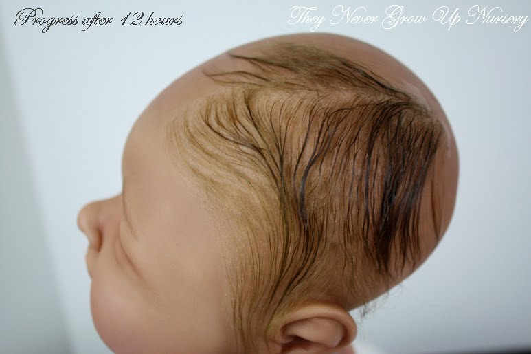 TheyNeverGrowUpNursery: Mapping a head for rooting