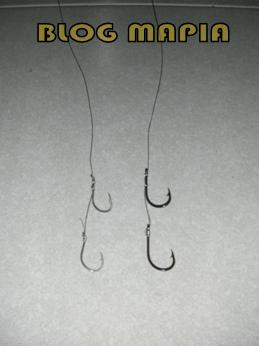 Malaysian Mafia @ Giant Snakehead: Jenis Perambut Toman & Cara ...