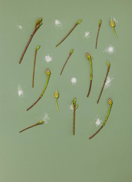 Fotografia Contemporanea: Gary Heery