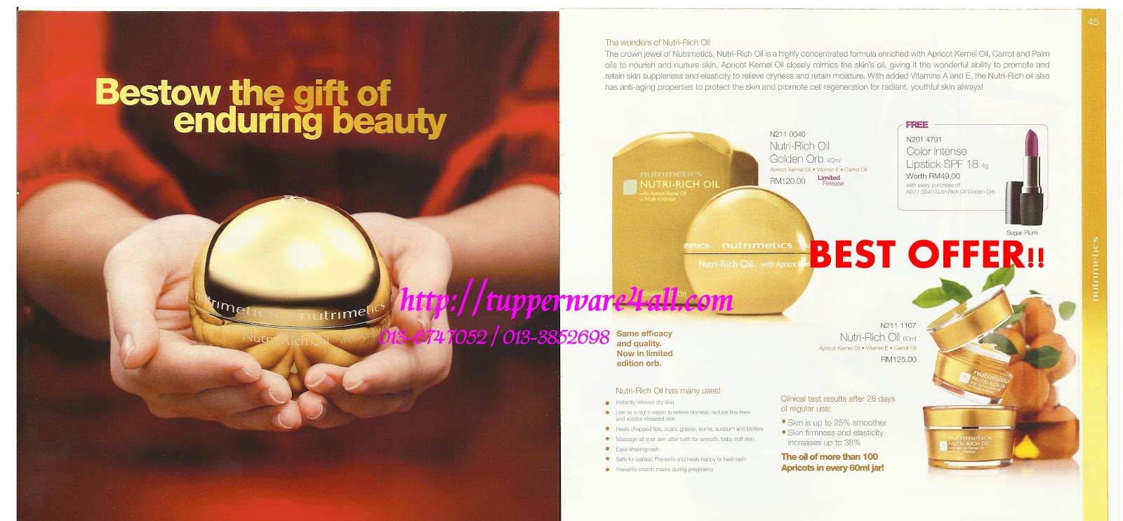 Year End Tupperware Catalogue : 12 Nov - 31st Dec 2012 ~ Tupperware ...