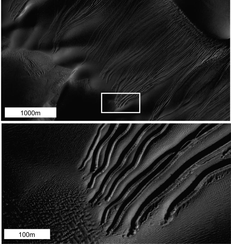 Suburban spaceman: NASA Mars MRO Hi-Rise: Martian Dunes Have Tracks of ...