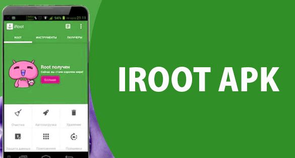Best Rooting Tools