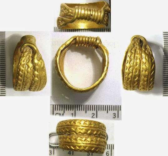 Realms Of Gold The Novel: 2014