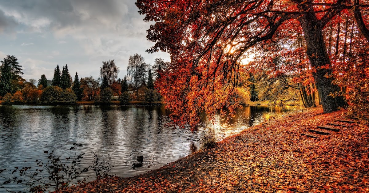 5 Reasons I'm Looking Forward To Autumn | Food and Other Loves