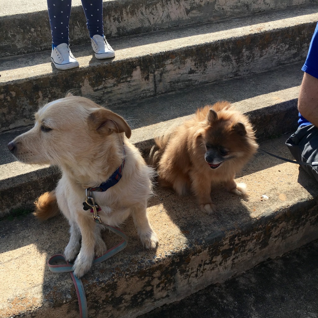 pretty little victories