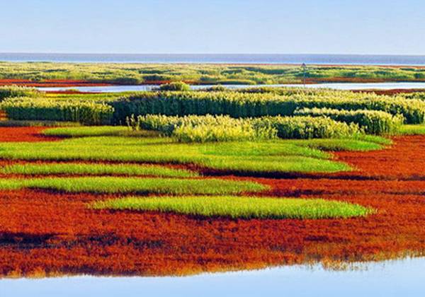 Bitemail: Red Beach is located in Panjin — China