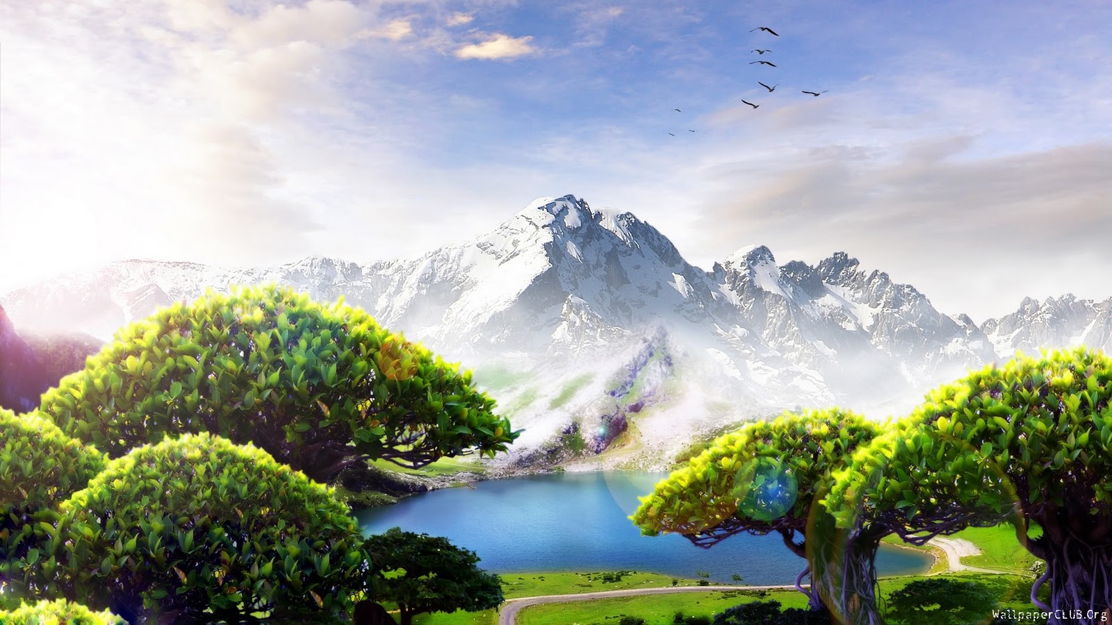 Walls N Pics: Dream World