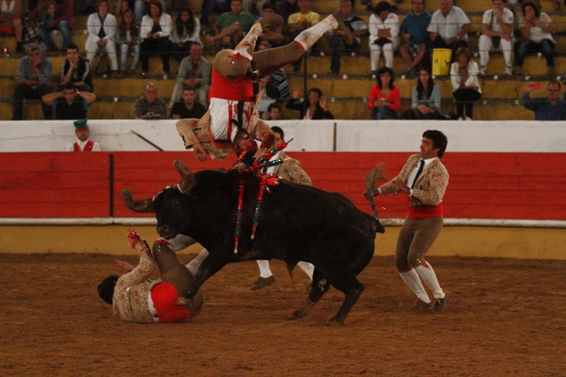 Diário Taurino: Tomar: Os forcados (C/Fotos)
