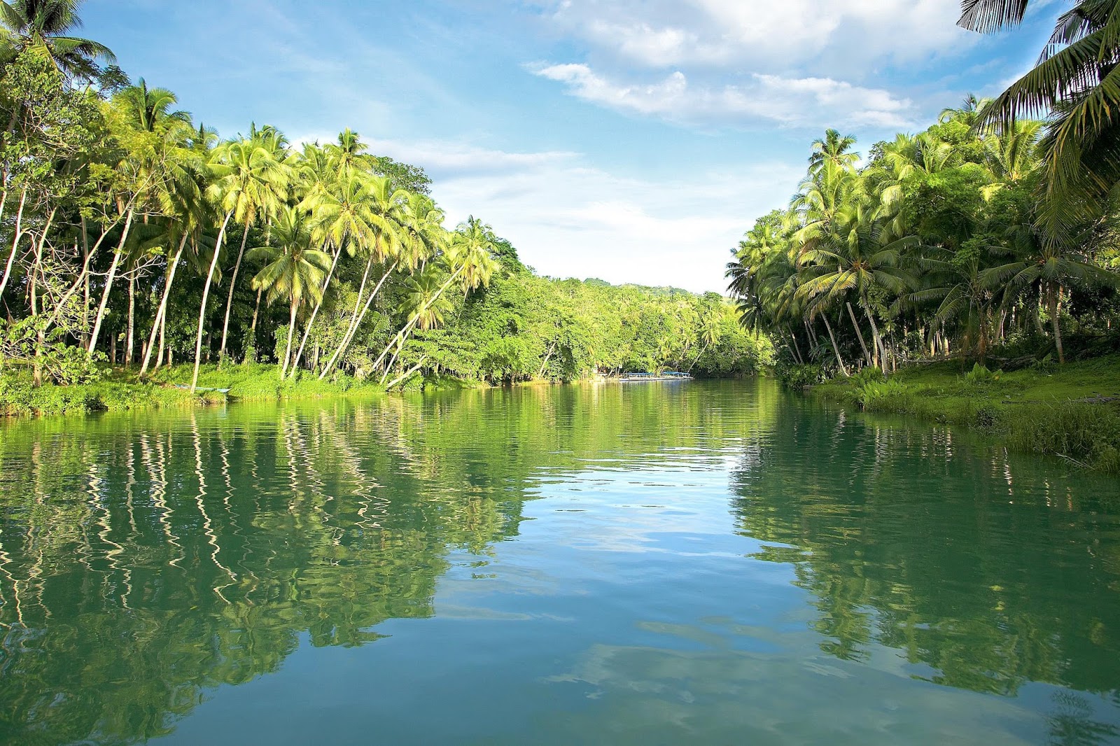 Dinner at Loboc River Cruise at Bohol Philippines Destination