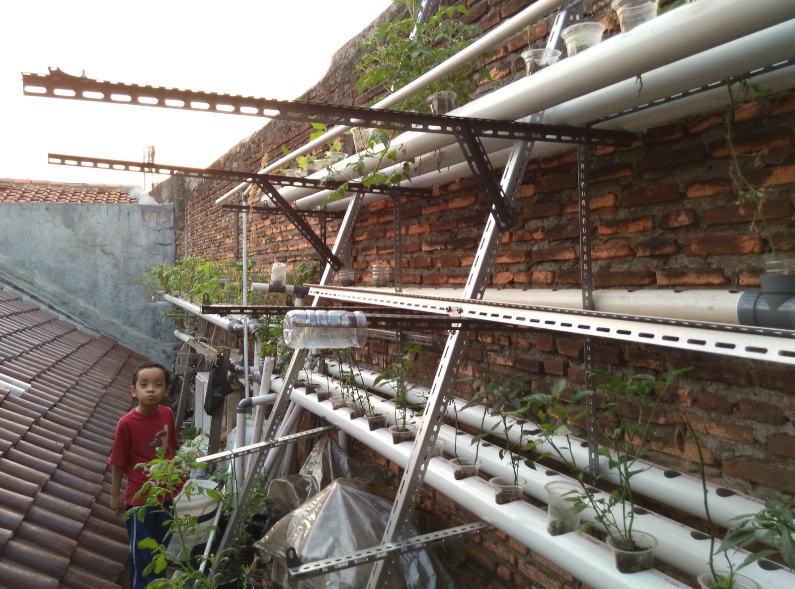 View Desain Rak Hidroponik Pictures