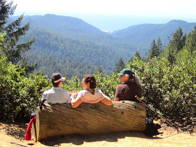 Santa Cruz Mountains Trails: Big Basin Redwoods State Park hike to Mt ...