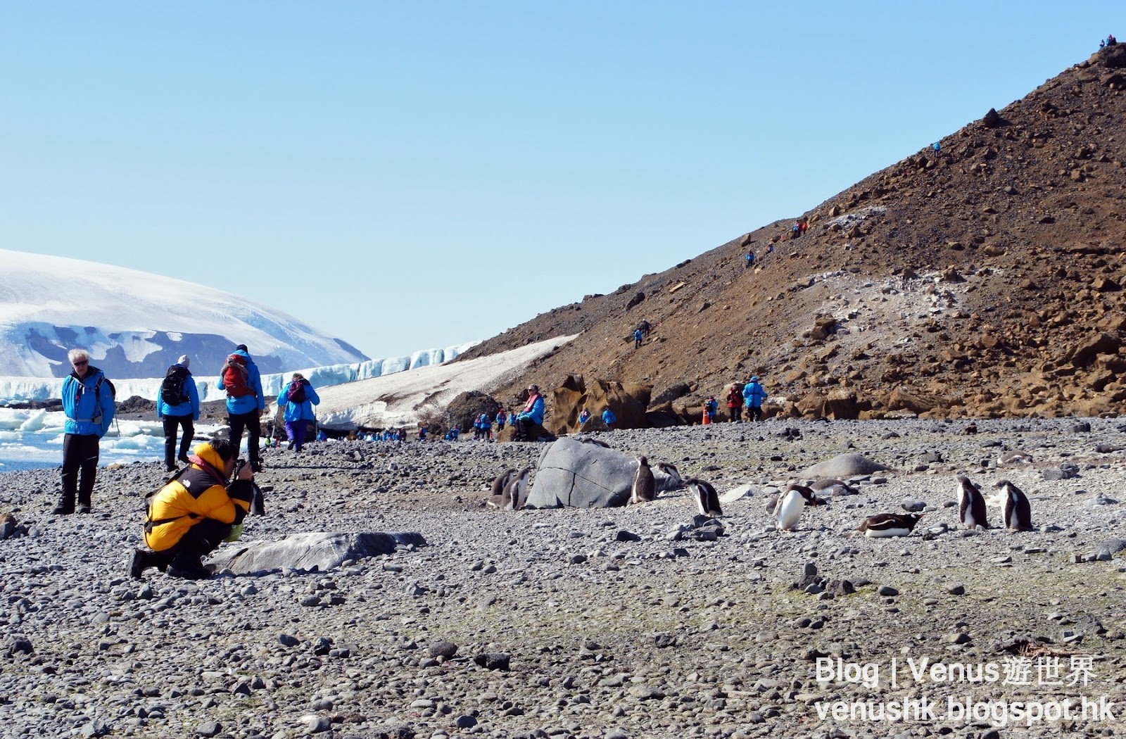 Venus遊世界: Day 11 南極第二站上篇──布朗海崖Brown Bluff