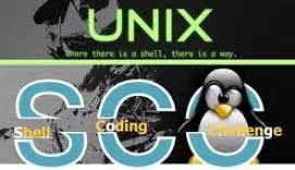 Advanced Shell coding Techniques | Mdudelogic
