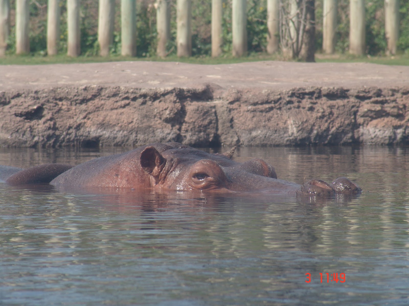 Viagens e curiosidades: PARQUE TEMAIKEN-ARGENTINA