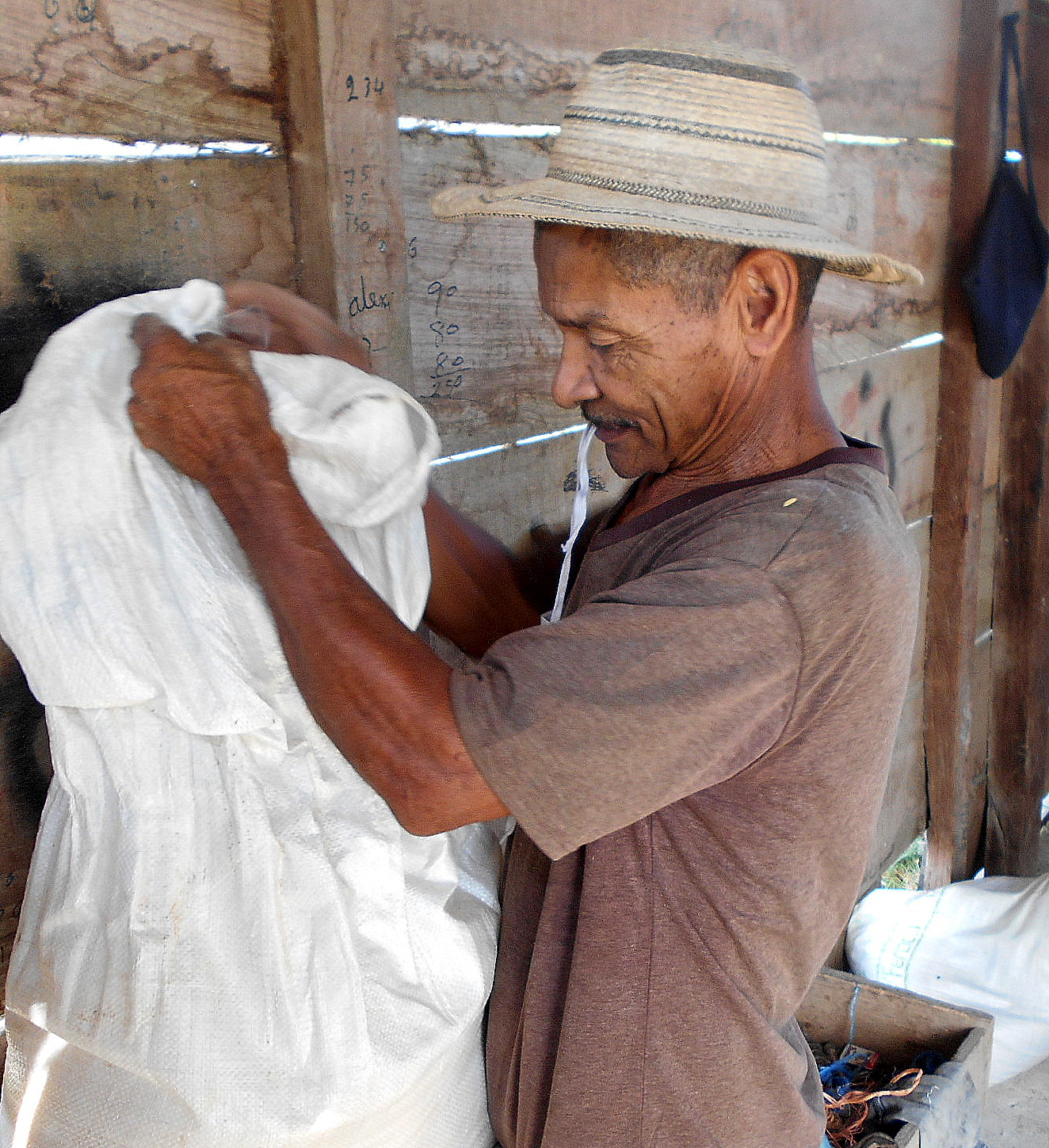 Perpetuating Peace in Panama: Don Alberto- Rice Cleaner