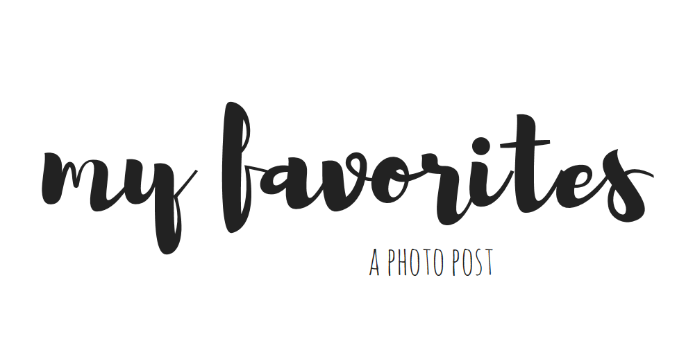 my favorites // a photo post