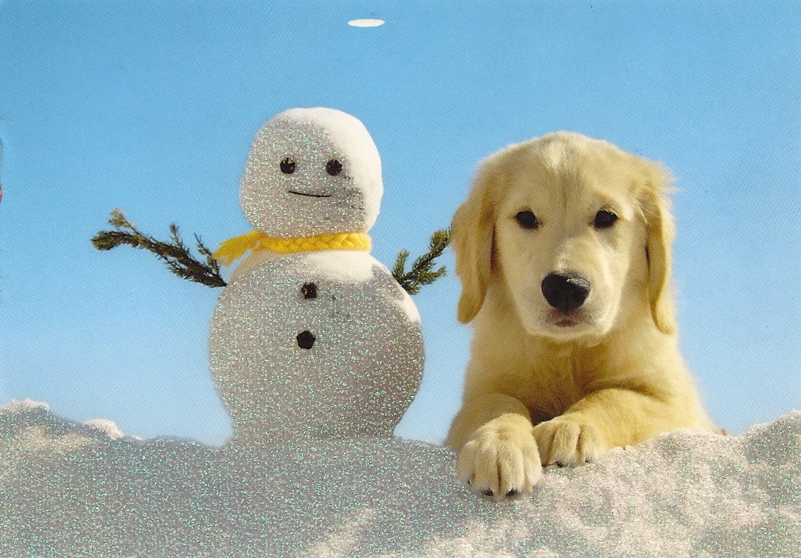 My Favorite Animal Postcards: Puppy with Snowman with Glitter
