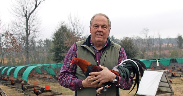 Gallos Y Galleros: (NUEVO) Entrevista A Gene Batia.