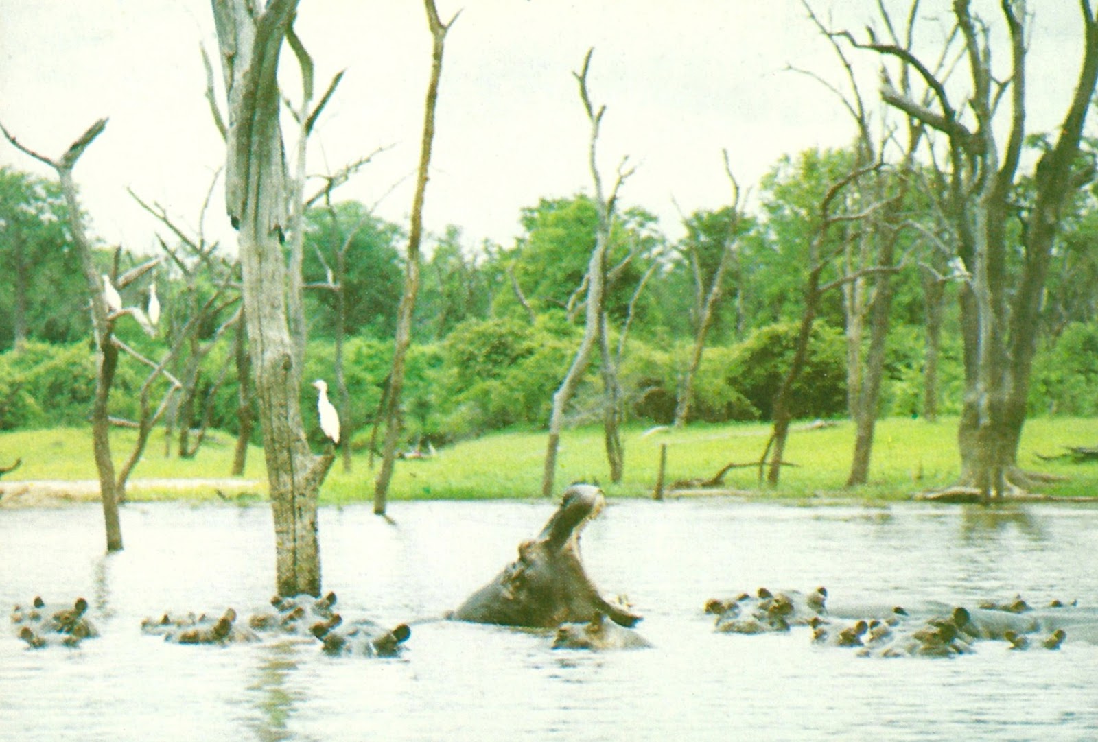My Favorite Views: Lake Kariba, Zimbabwe