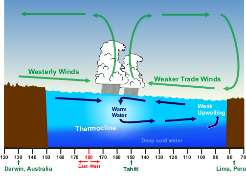 Share it! Science : Understanding Weather Patterns: El Niño 2015