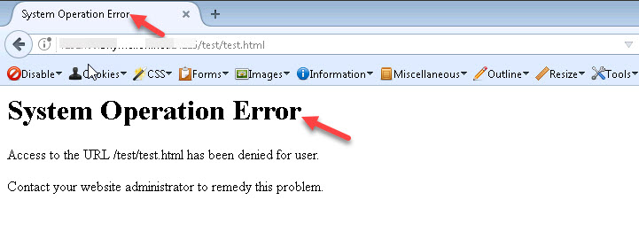 Enterprise Security: Customizing "Oracle Access Manager Operation Error" message