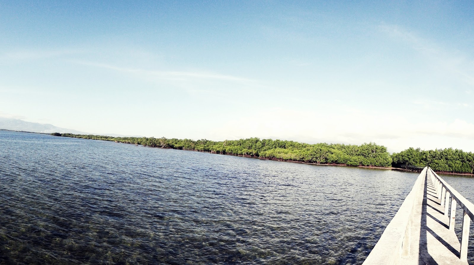 Bais Tourism: Talabong Mangrove Forest and Bird Sanctuary