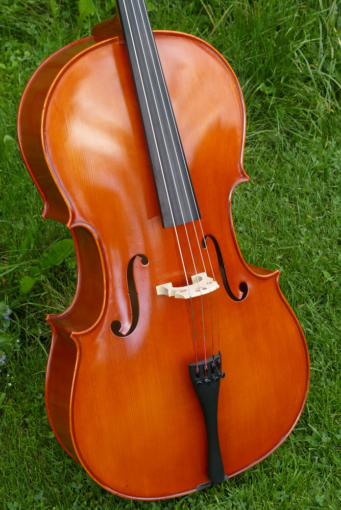 2009 Eastman VC90 4/4 Cello