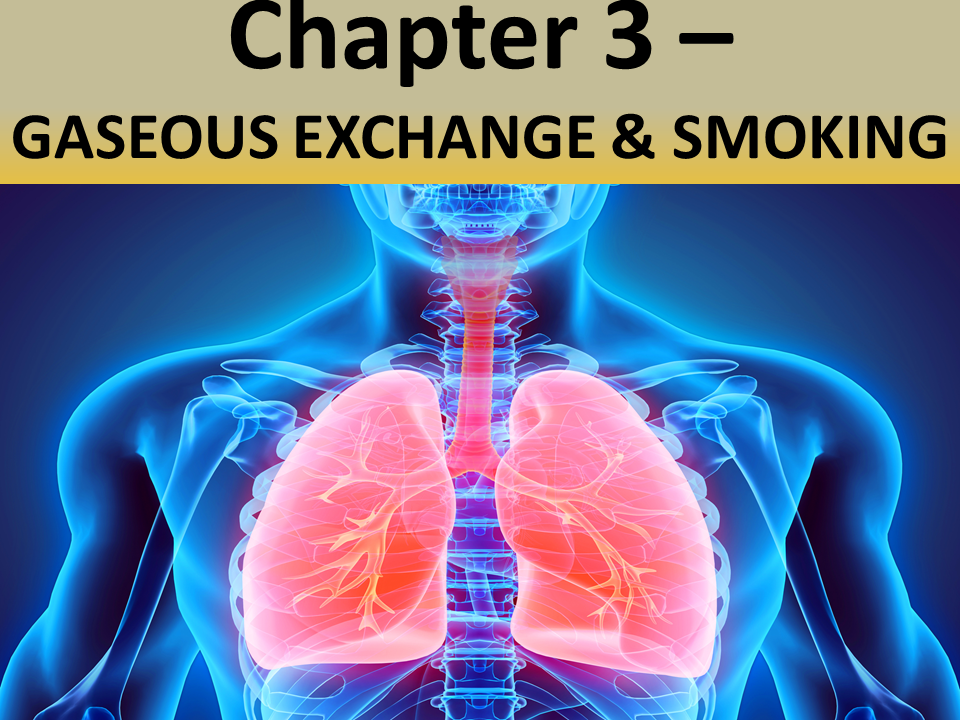 Grade 11: Chapter 3 - GAS EXCHANGE & SMOKING
