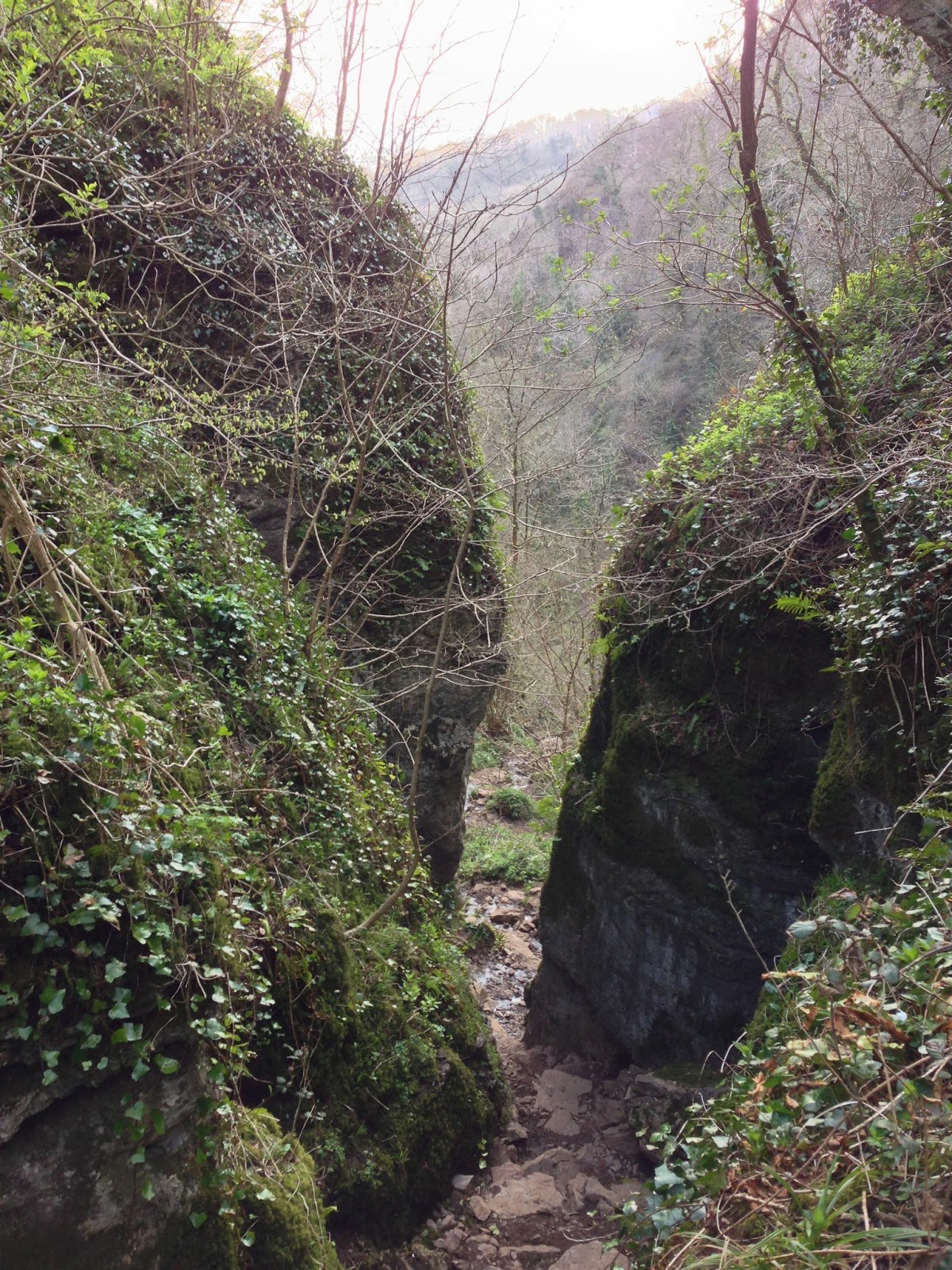 monsoonpanda: Ebbor Gorge.