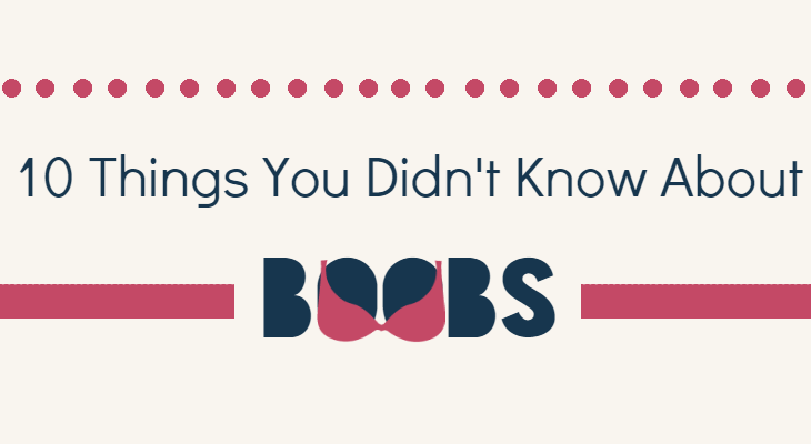 10 Things You Didnt Know About Boobs Infographic