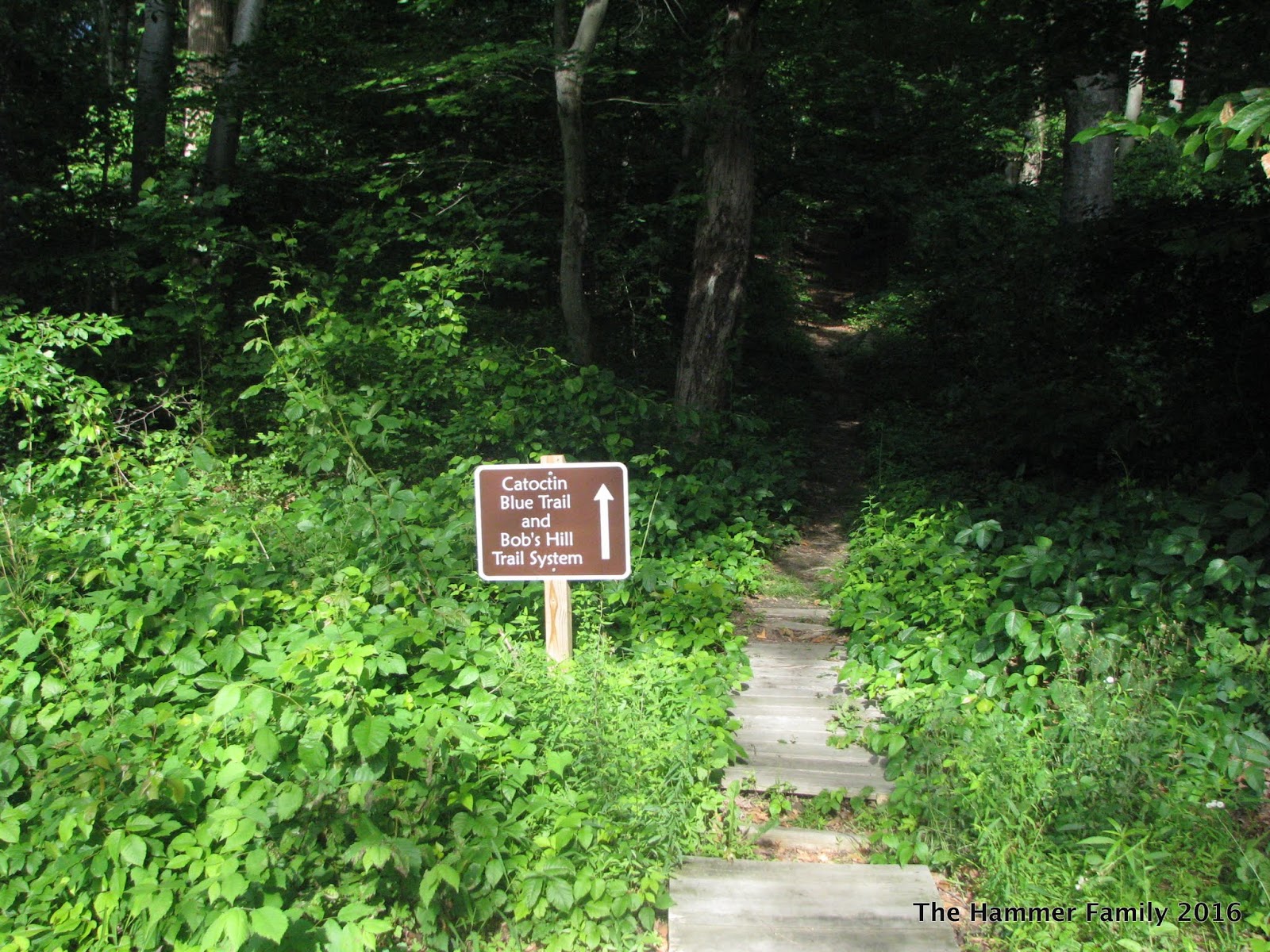 Hiking With Hammer: Cunningham Falls State Park - Manor Area, Bob's ...