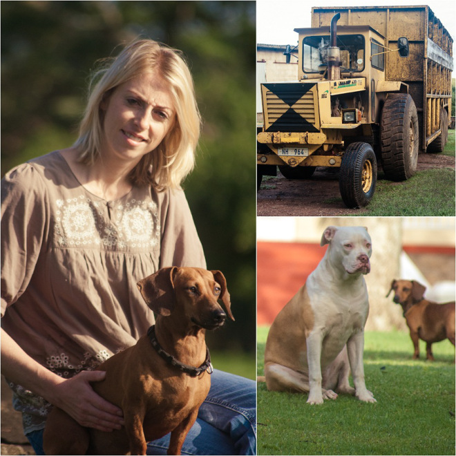 Kate Martens Photography : furry friends